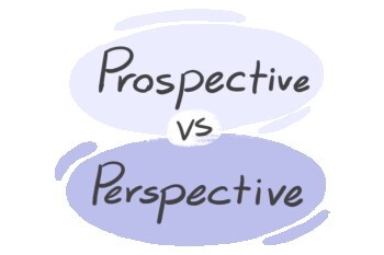 "Prospective" vs. "Perspective" in English | LanGeek