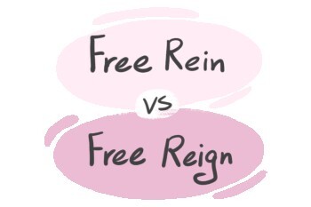 "Free Rein" vs. "Free Reign" in English | LanGeek