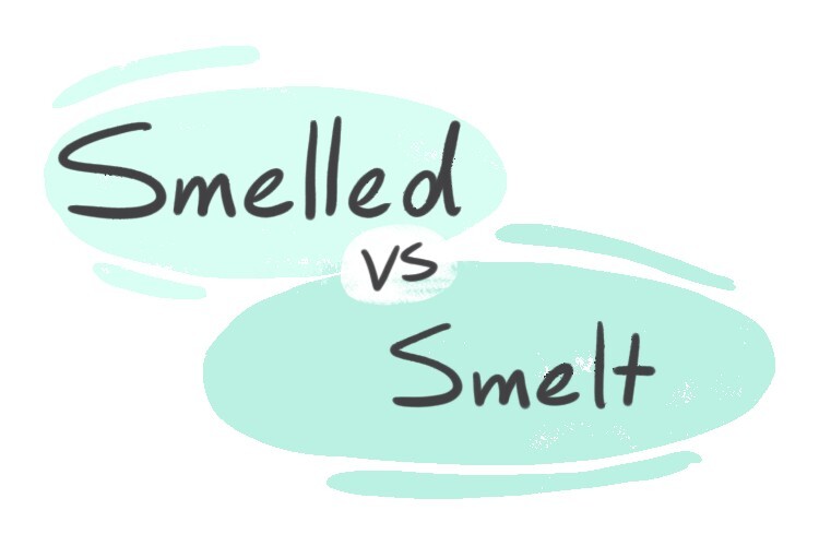 "Smelled" vs. "Smelt" in English | LanGeek