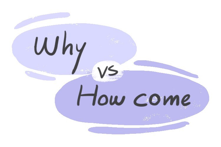 "Why" vs. "How come" in English | LanGeek