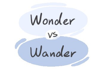"Wonder" vs. "Wander" in English | LanGeek
