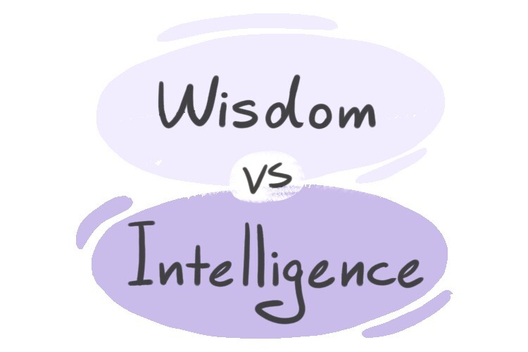"Wisdom" vs. "Intelligence" in English | LanGeek