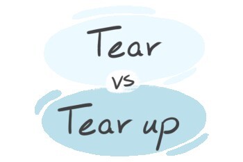 "Tear" vs. "Tear up" in the English Language | LanGeek