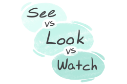 "Search" vs. "Research" in English | LanGeek