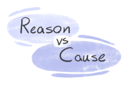 "Quality" vs. "Quantity" in English | LanGeek