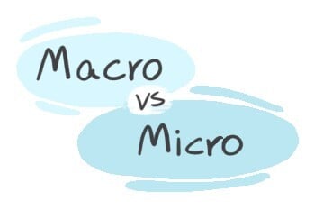 "Macro" vs. "Micro "in English | LanGeek