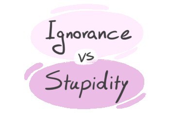 "Ignorance" vs. "Stupidity" in English | LanGeek