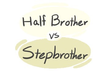 "Half Brother" vs "Stepbrother" in English | LanGeek