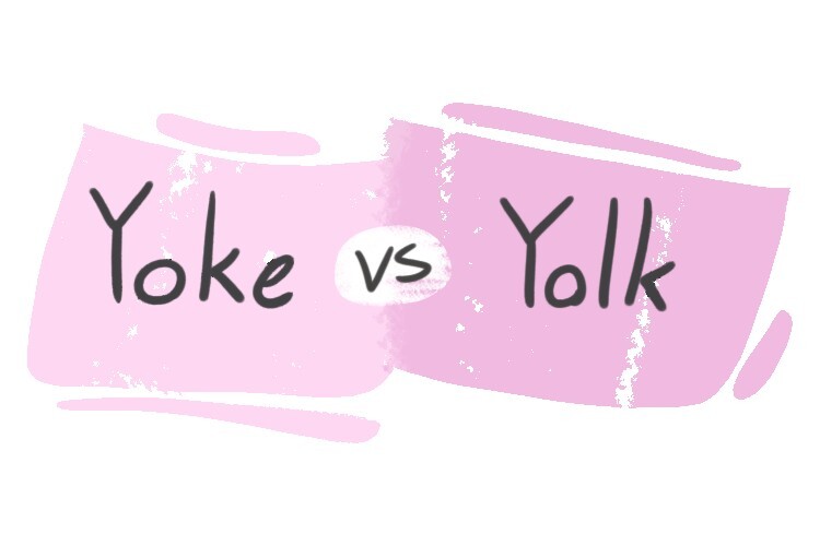 "Yoke" vs. "Yolk" in English | LanGeek