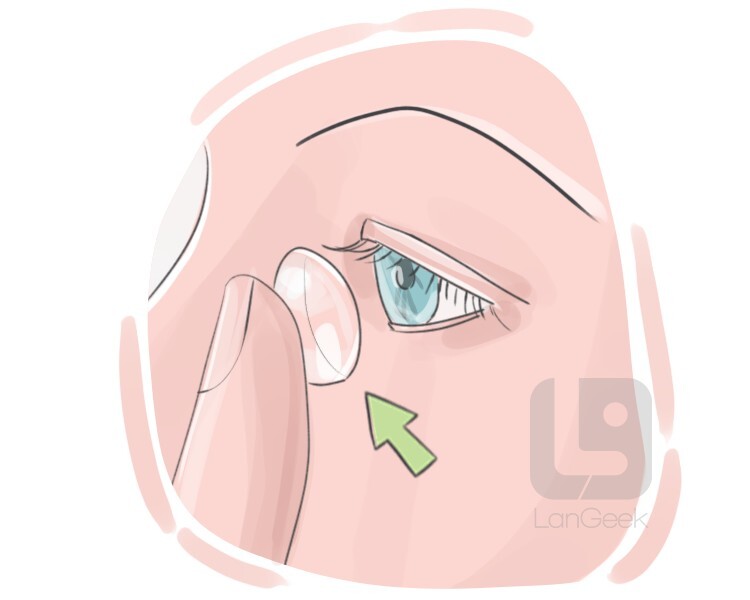 Definition & Meaning of "Contact" | LanGeek