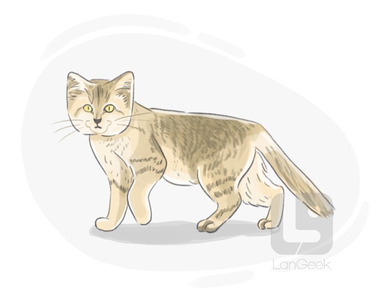 Definition & Meaning of "Sand cat" | LanGeek
