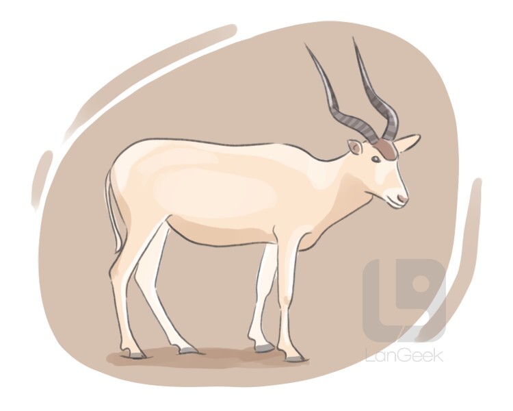 Definition & Meaning of "Addax" | LanGeek