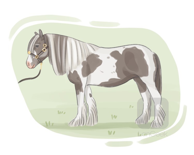 Definition & Meaning of "Cob" | LanGeek