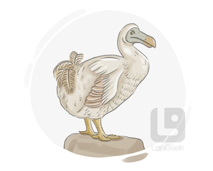Definition & Meaning of "Dodo" | LanGeek