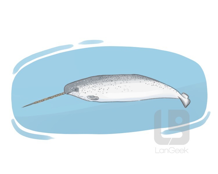Definition & Meaning of "Narwhal" | LanGeek