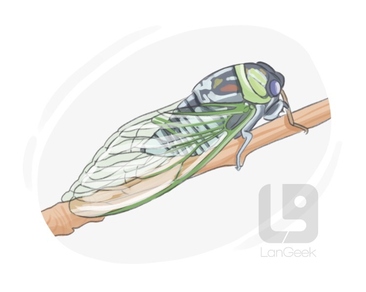Definition & Meaning of "Harvest fly" | LanGeek
