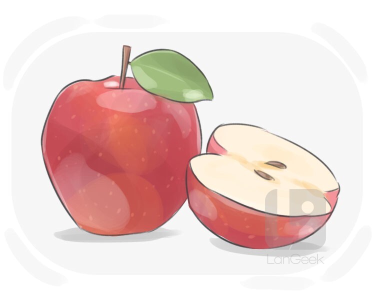 Definition & Meaning of "Red delicious" | LanGeek