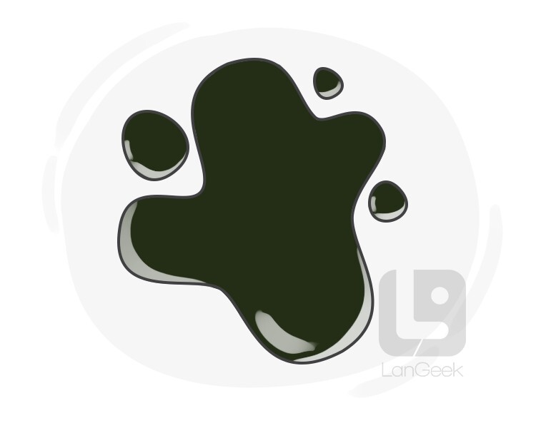 Definition & Meaning of "Black olive" | LanGeek