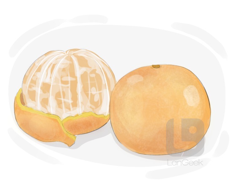 Definition & Meaning of "Temple orange" | LanGeek