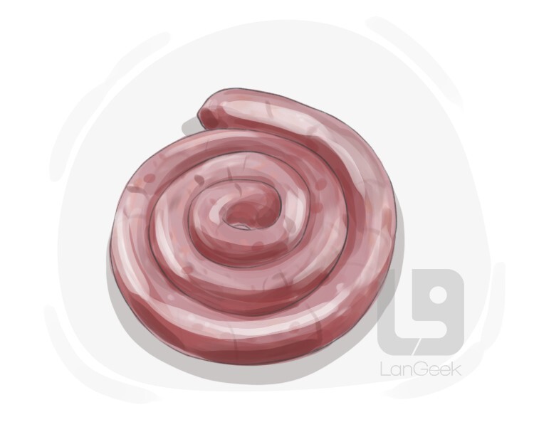 Definition & Meaning of "Boerewors" | LanGeek
