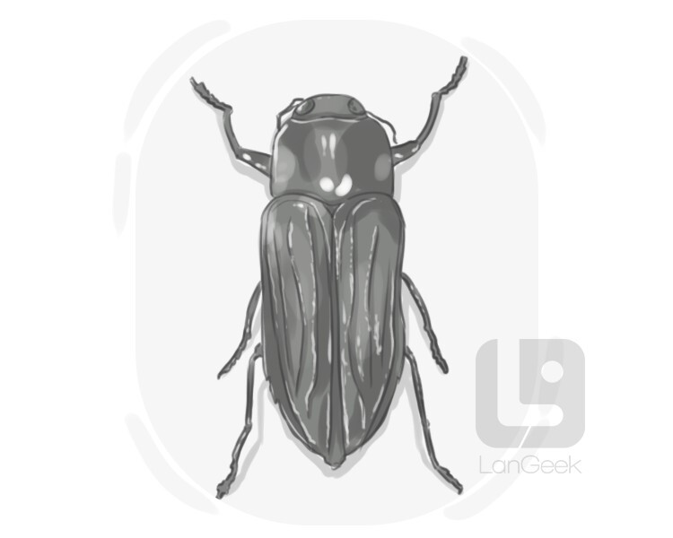 Definition & Meaning of "Firefly" | LanGeek