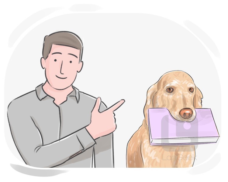 Definition & Meaning of "Its" | LanGeek