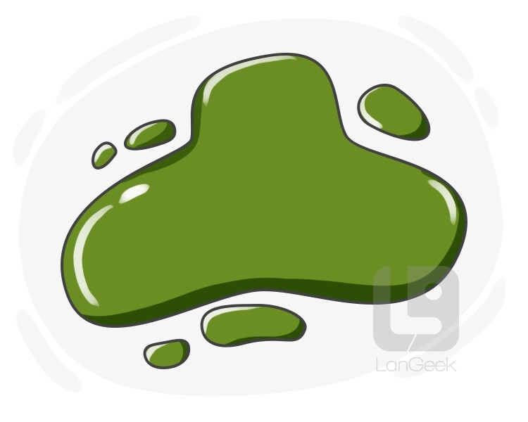 English vocabulary Dark Green Shades | LanGeek