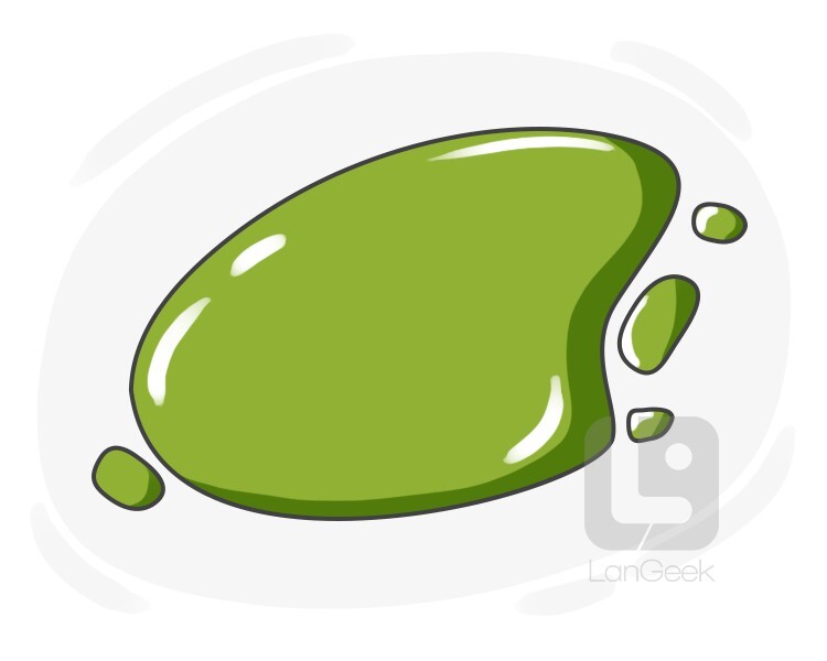 Definition & Meaning of "Avocado" | LanGeek