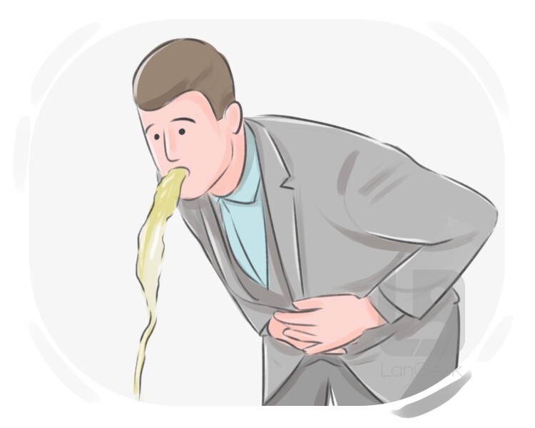 Definition Meaning Of Spill Guts LanGeek
