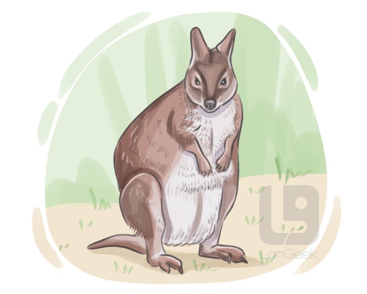 Definition & Meaning of "Pademelon" | LanGeek
