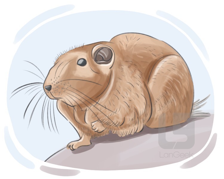 Gundi