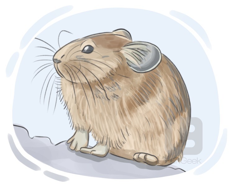 Definition & Meaning of "Cony" | LanGeek