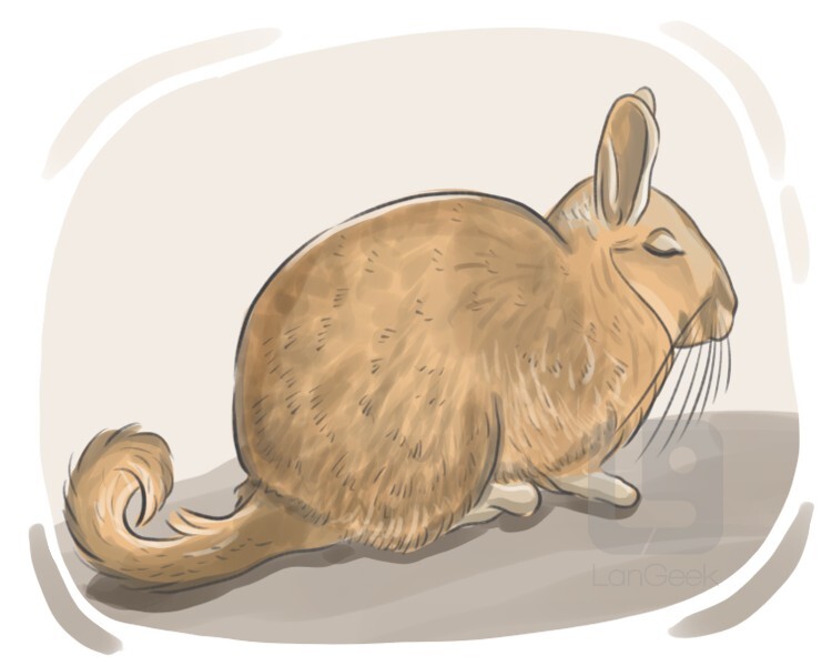 Definition & Meaning of "Viscacha" | LanGeek