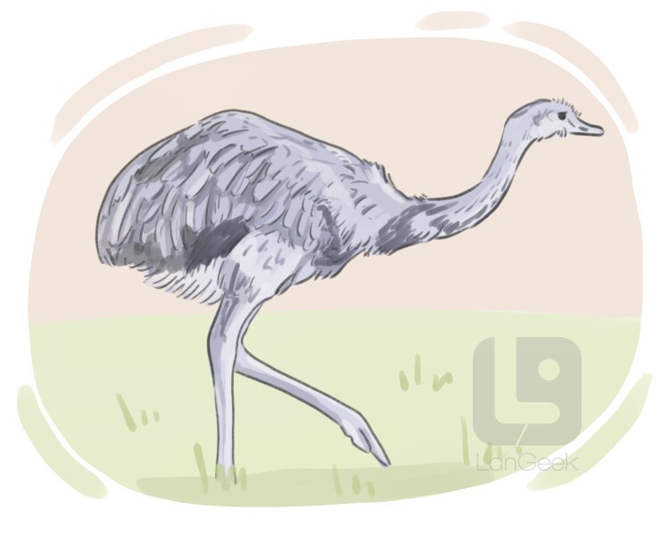 Definition & Meaning of "Rhea" | LanGeek