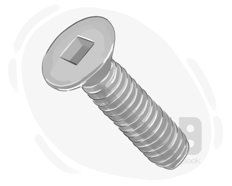 Definition & Meaning of "Square drive screw" | LanGeek