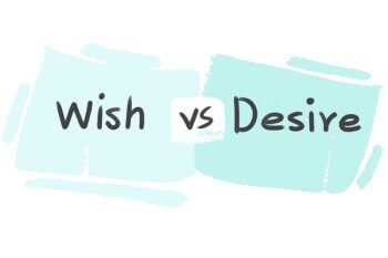 What is the difference between 'wish' and 'desire'? | LanGeek