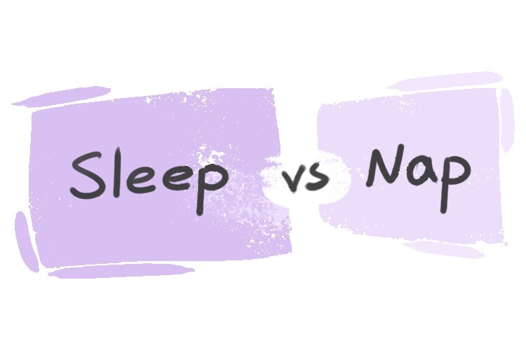 What is the difference between 'sleep' and 'nap'? | LanGeek