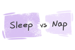 What is the difference between 'contain' and 'include'? | LanGeek