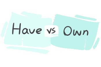 What is the difference between 'have' and 'own'? | LanGeek