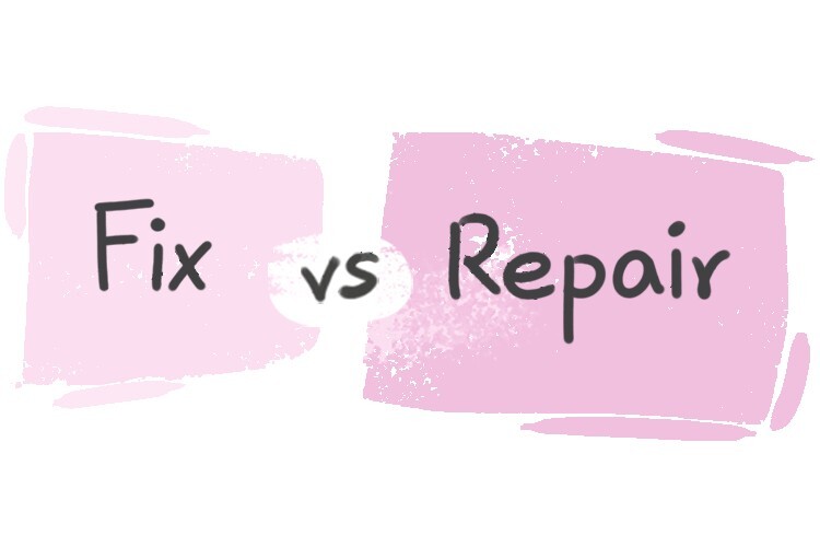 What is the difference between 'fix' and 'repair'? | LanGeek