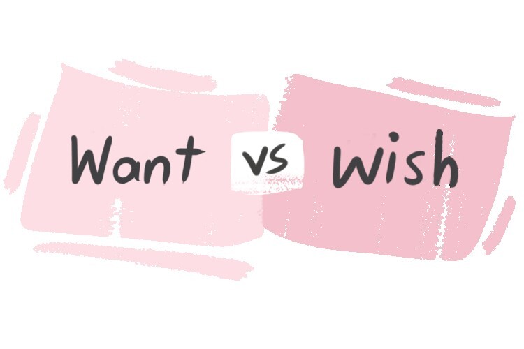 What is the difference between 'want' and 'wish'? | LanGeek