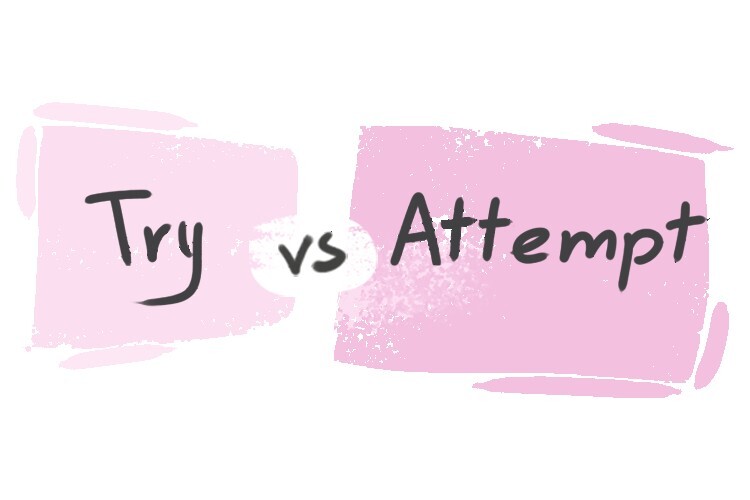 What is the difference between 'try' and 'attempt'? | LanGeek