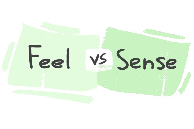 What is the difference between 'feel' and 'sense'? | LanGeek