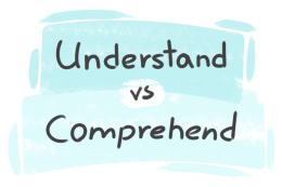 What is the difference between 'seem' and 'look'? | LanGeek