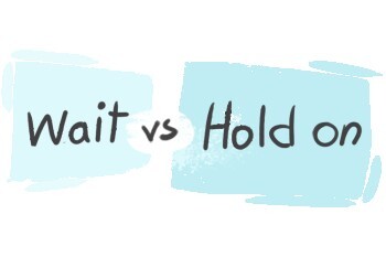 What is the difference between 'hold on' and 'wait'? | LanGeek