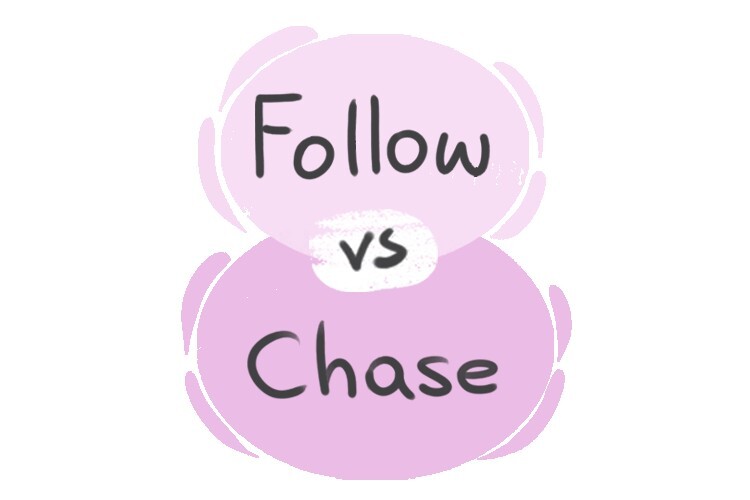 What is the difference between 'follow' and 'chase'? | LanGeek