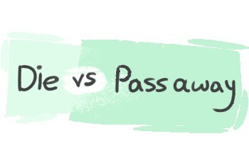 What is the difference between 'die' and 'pass away'? | LanGeek
