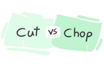 What is the difference between 'cut' and 'chop'? | LanGeek