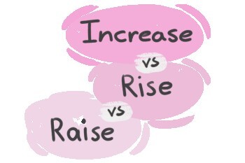 What is the difference between 'increase' and 'raise' and 'rise'? | LanGeek