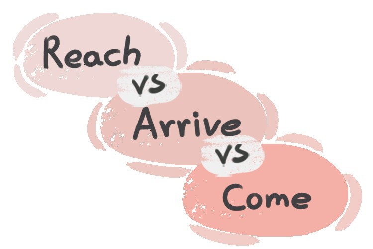 What is the difference between 'reach' and 'arrive'? | LanGeek